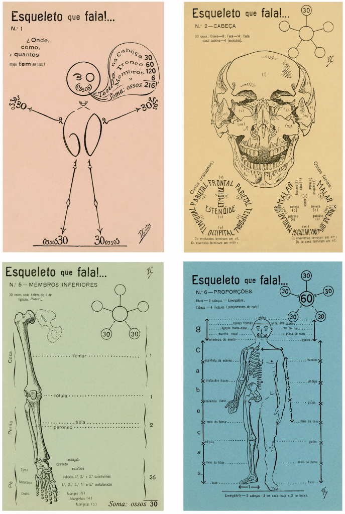 [Talking Skeleton] collection - Paulo de Cantos